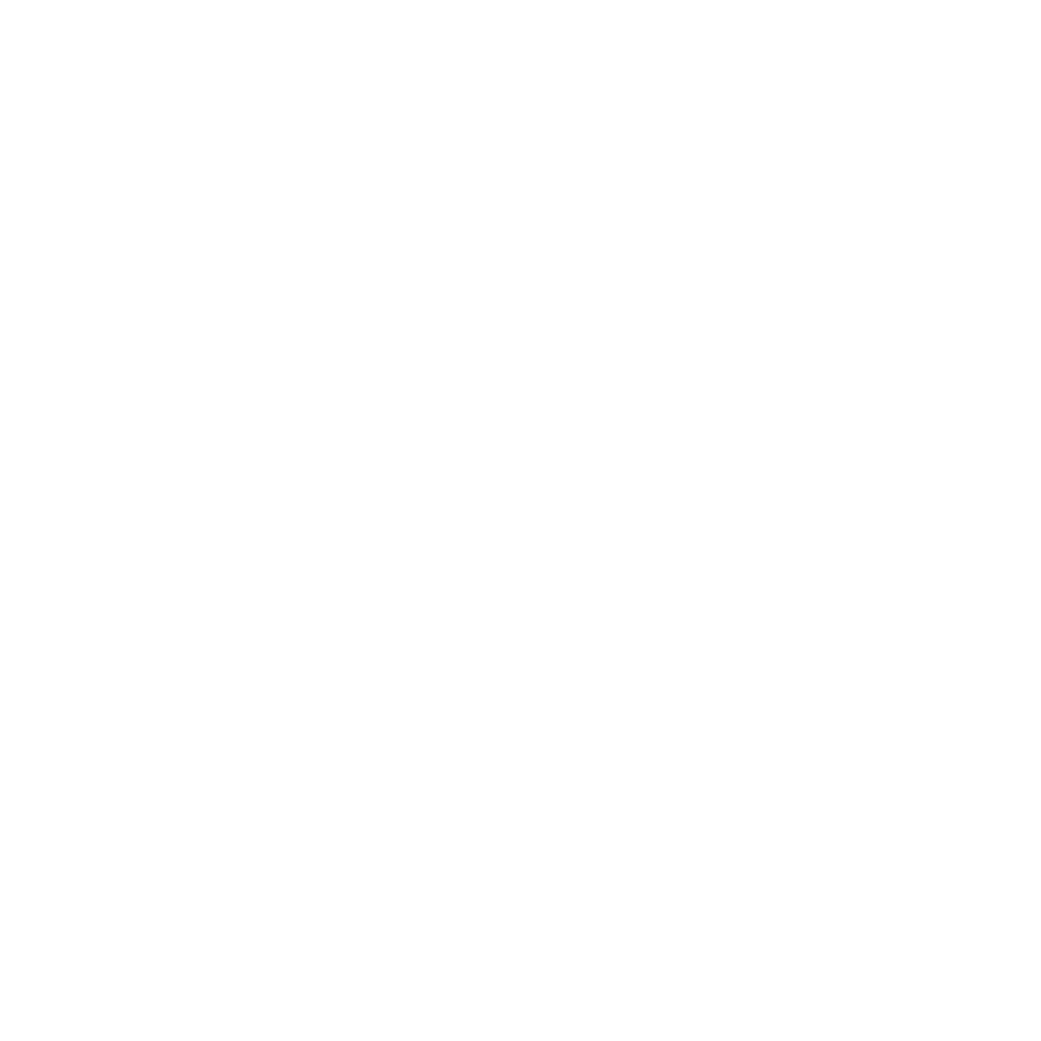Nicola Foundation